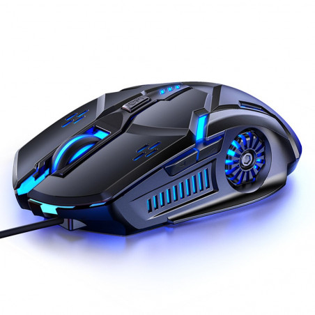 Souris filaire RGB